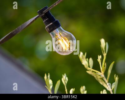 soft light from the filament of an energy-saving bulb Stock Photo - Alamy