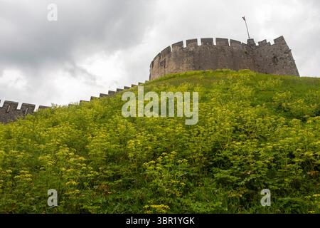 The original Norman 20 metre-high motte, surmounted by the 12th century ...