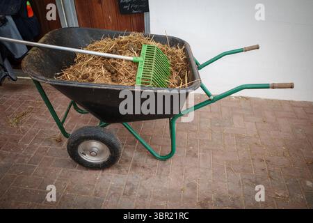 the Horse manure is disposed of with a wheelbarrow Stock Photo - Alamy