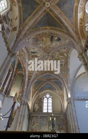 Frescoed vault of Basilica of Saint Clare in Assisi, Italy, with ...
