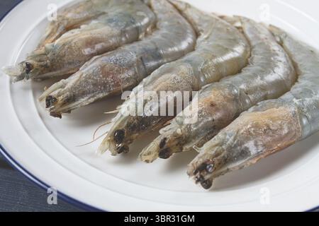 Raw fresh Jumbo king tiger prawns Stock Photo - Alamy