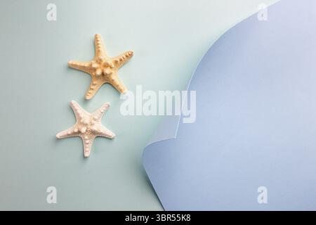 Composition of exotic sea shells on blue background. Top view Stock ...