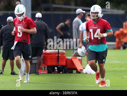Miami Dolphins quarterbacks Ryan Fitzpatrick (14) and Tua Tagovailoa (1 ...