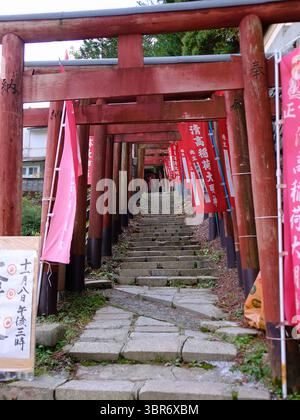 Vermilion temple gate at stone steps in Kyoto, Japan at twilight Stock ...