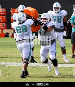 Miami Dolphins offensive tackle Jesse Davis (77) during an NFL football ...