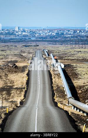 A long, straight path stretching into the distance, flanked by dense ...