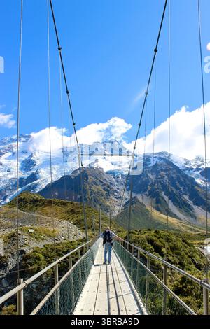 iconic swing bridges in Mount Cook National Park, Hooker Vally Trail ...