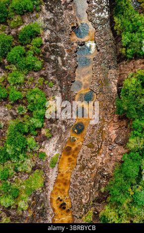 Stunning aerial view of Guaviare River surrounded by lush green ...