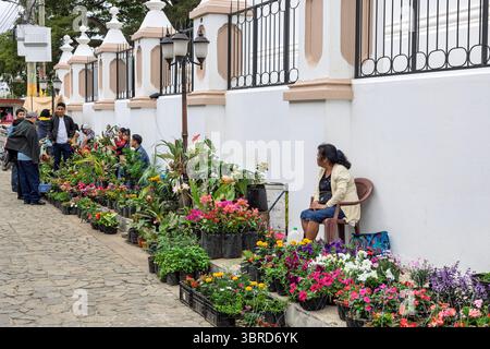 Flower Market Apaneca Ahuachapan Department El Salvador Stock Photo