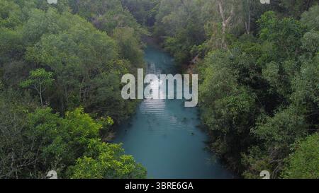 Woman swimming in small river in queensland australia Stock Photo - Alamy