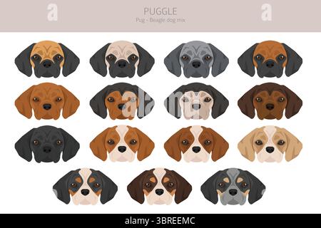 Puggle clipart. Pug beagle mix. Different coat colors set. Vector ...