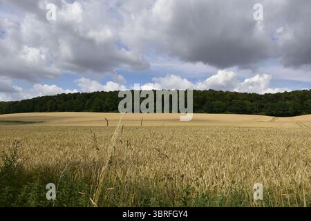 Nature and View between Hildesheim and Alfeld Stock Photo - Alamy