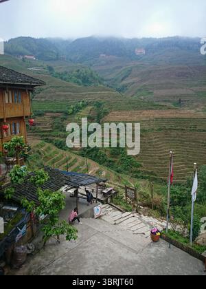 Rice terrace fields in China. Close-up panoramic photo of rice field ...
