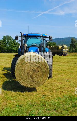 Straw in rolls. Hay for animal feed. Farming. Stocks of dry hay for the ...