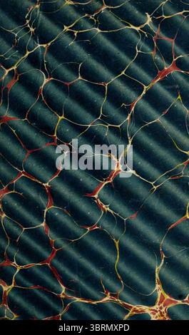 Marbled paper - Eunuchus Terence Fabia edition (page 2 crop Stock Photo ...