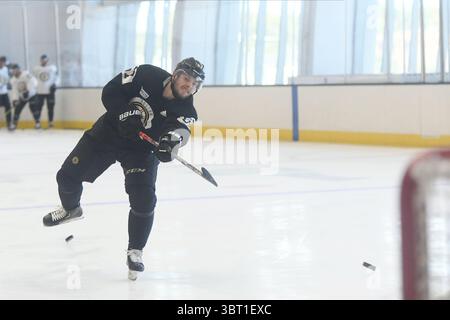 Boston Bruins defenseman Jakub Zboril (67) at an NHL hockey game ...