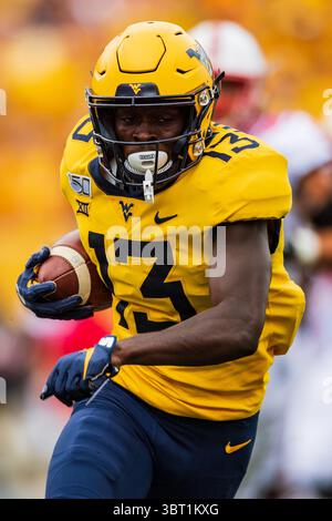 MORGANTOWN, WV - SEPTEMBER 13: West Virginia Mountaineers tight end ...