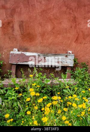 wooden bench in a garden Stock Photo - Alamy