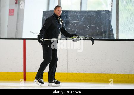 Boston Bruins head coach Bruce Cassidy in action during an NHL hockey ...