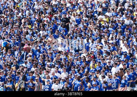 PSG fans cheer during the FIFA Intercontinental Cup final soccer match ...