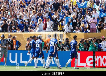 PSG fans cheer during the FIFA Intercontinental Cup final soccer match ...