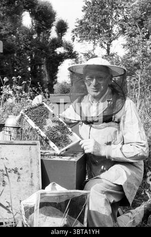 Beekeeper holds frame filled with bees honeycomb, using smoker to calm ...