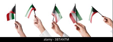 The Kuwait flag in hand in different angles on a white background Stock ...