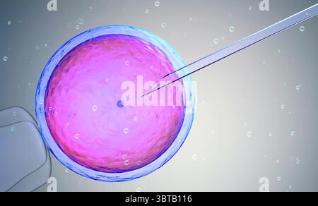 3d rendering ovum with needle for artificial insemination or in vitro ...