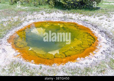A mesmerizing landscape of a geyser in Yellowstone National Park Stock ...