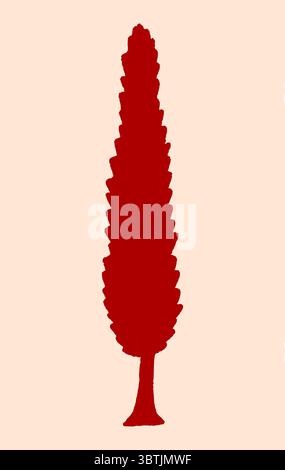 Cypress silhouette. Mediterranean Cypress trees silhouette isolated on ...