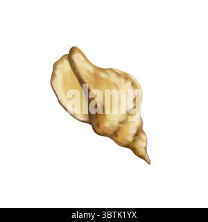 Summer beach seashell tropical elements. Watercolor background ...