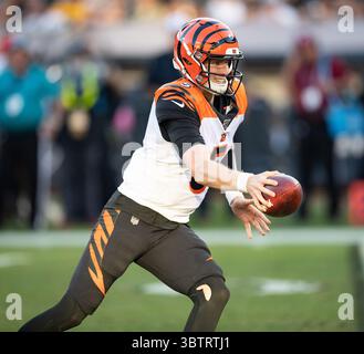 Cincinnati Bengals quarterback Ryan Finley during the first half of an ...