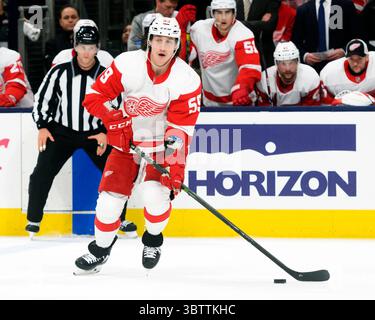 Detroit Red Wings left wing J.T. Compher (37) tries to hold off St ...