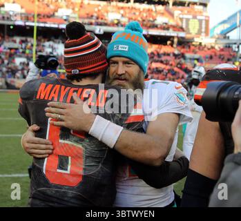 Miami Dolphins quarterback Ryan Fitzpatrick (14) gestures during ...