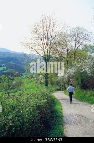 Way to Santa Cristina de Lena church. Pola de Lena, Asturias, Spain ...