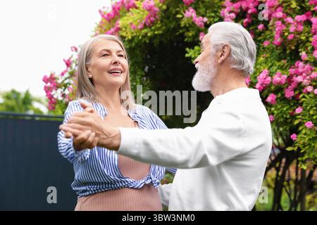 Lovely senior couple dancing near bush of pink roses outdoors Stock ...