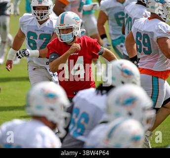 Miami Dolphins quarterback Ryan Fitzpatrick (14) runs the ball against ...