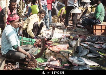 Kabardanga Whole Sale Fish Market, Kolkata, West Bengal, India 10 ...