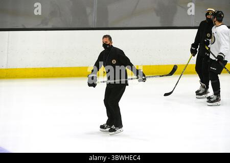 Boston Bruins head coach Bruce Cassidy stands behind his bench during ...