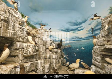 At the Milan Natural History Museum in Italy Stock Photo - Alamy