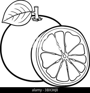 Grapefruit Coloring Page For Kids Stock Vector Image & Art - Alamy