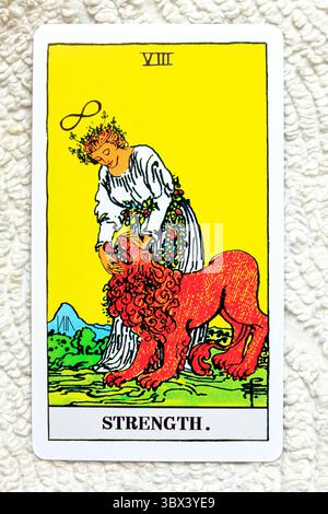 Strength card - number 8 - Individual Tarot card studio set up on ...