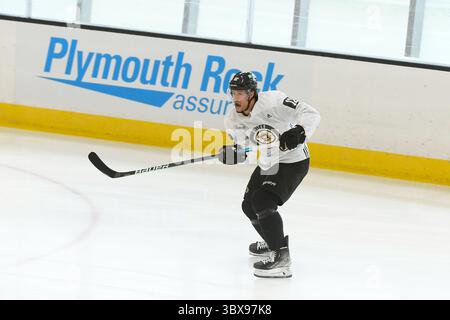 Boston Bruins center Craig Smith (12) during a hockey game, Tuesday ...