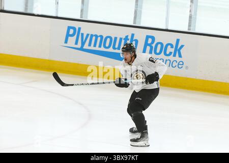 Boston Bruins center Craig Smith (12) during a hockey game, Tuesday ...