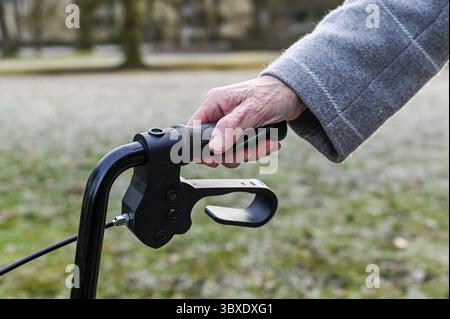 DEUTSCHLAND, Hamburg, alte Frau eines Pflegeheims im Garten mit ...
