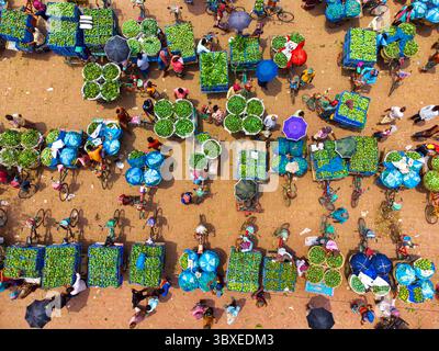 Mango farmers transport around 200 kilograms of mangoes on bicycles to ...