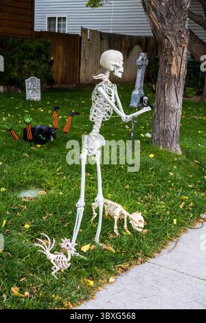 The skeleton of a man with skeletons of a rooster and a dog. Halloween ...
