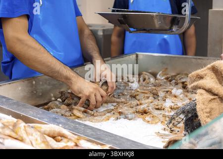Colorful selection of seafood at fish market in Rhodes, Greece. High ...