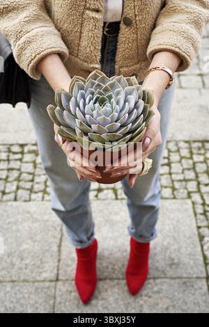 Young woman holding succulent pot in studio Stock Photo - Alamy
