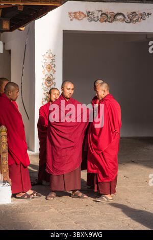 A group of Buddhist monks in a dochey or courtyard in the Punakha Dzong ...